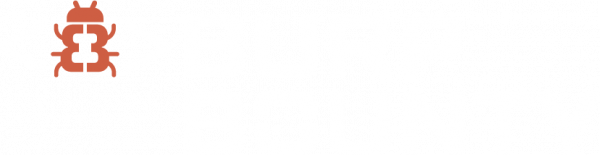 Inicio - Burp Bounty