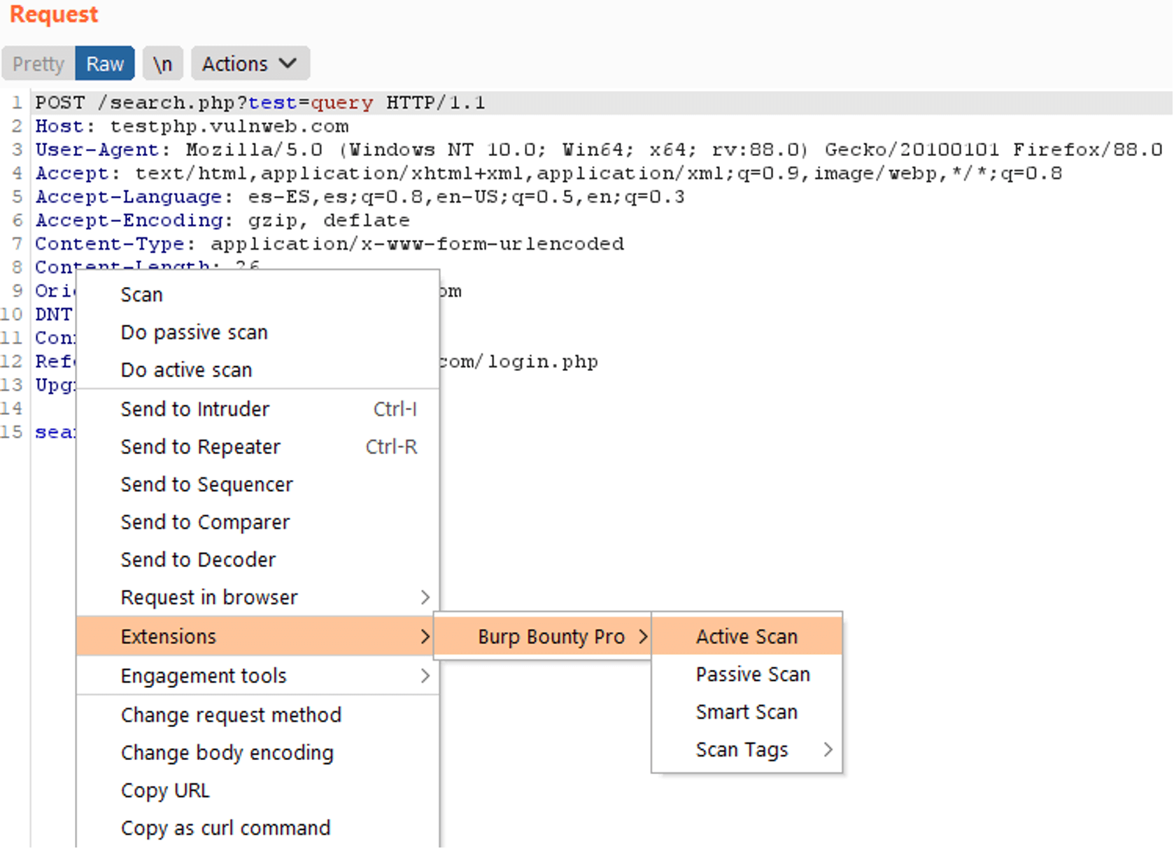 Documentation - Burp Bounty