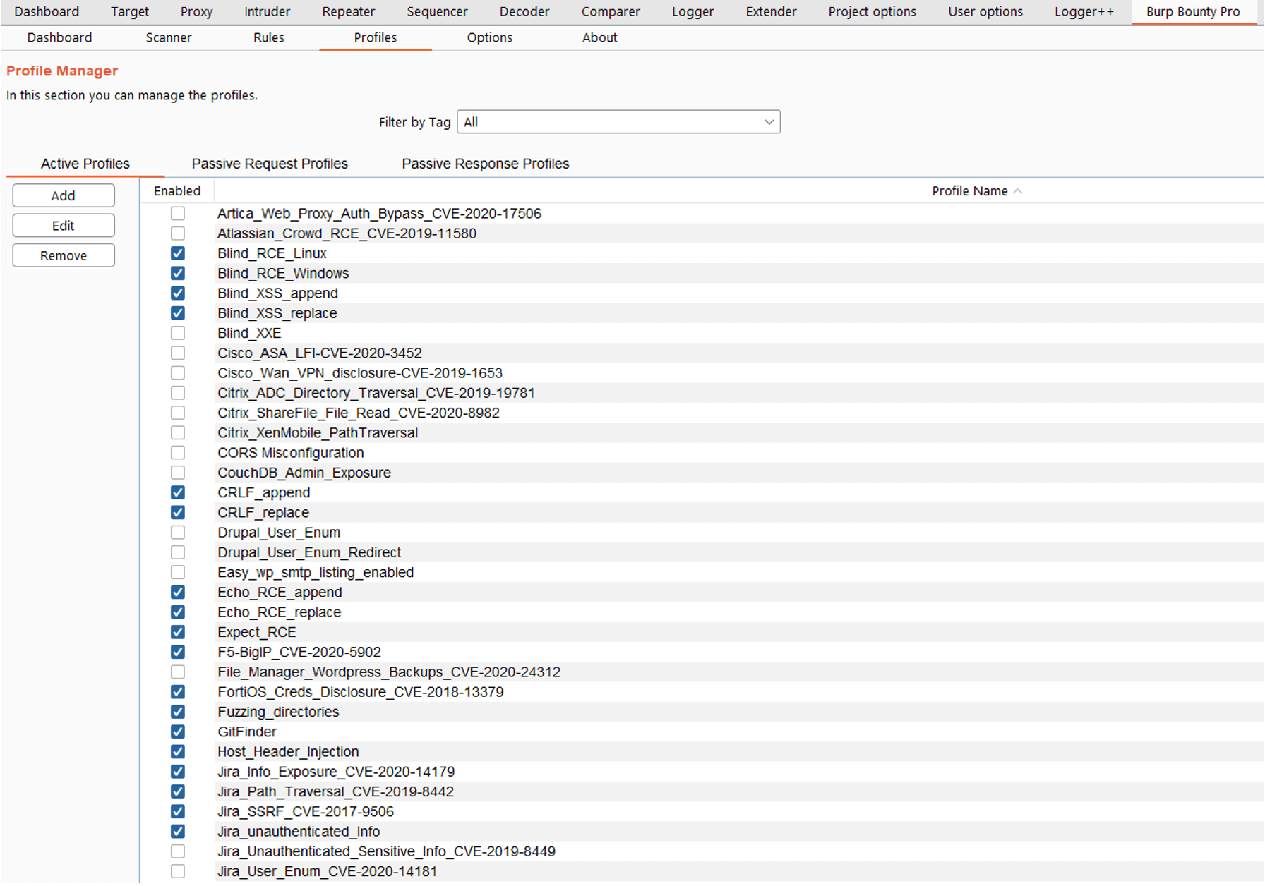 Documentation 2 – Burp Bounty