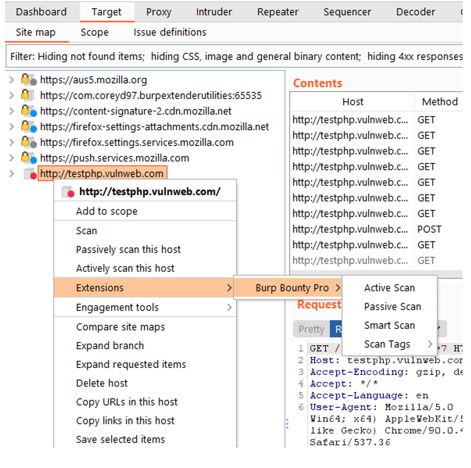 Documentation – Burp Bounty