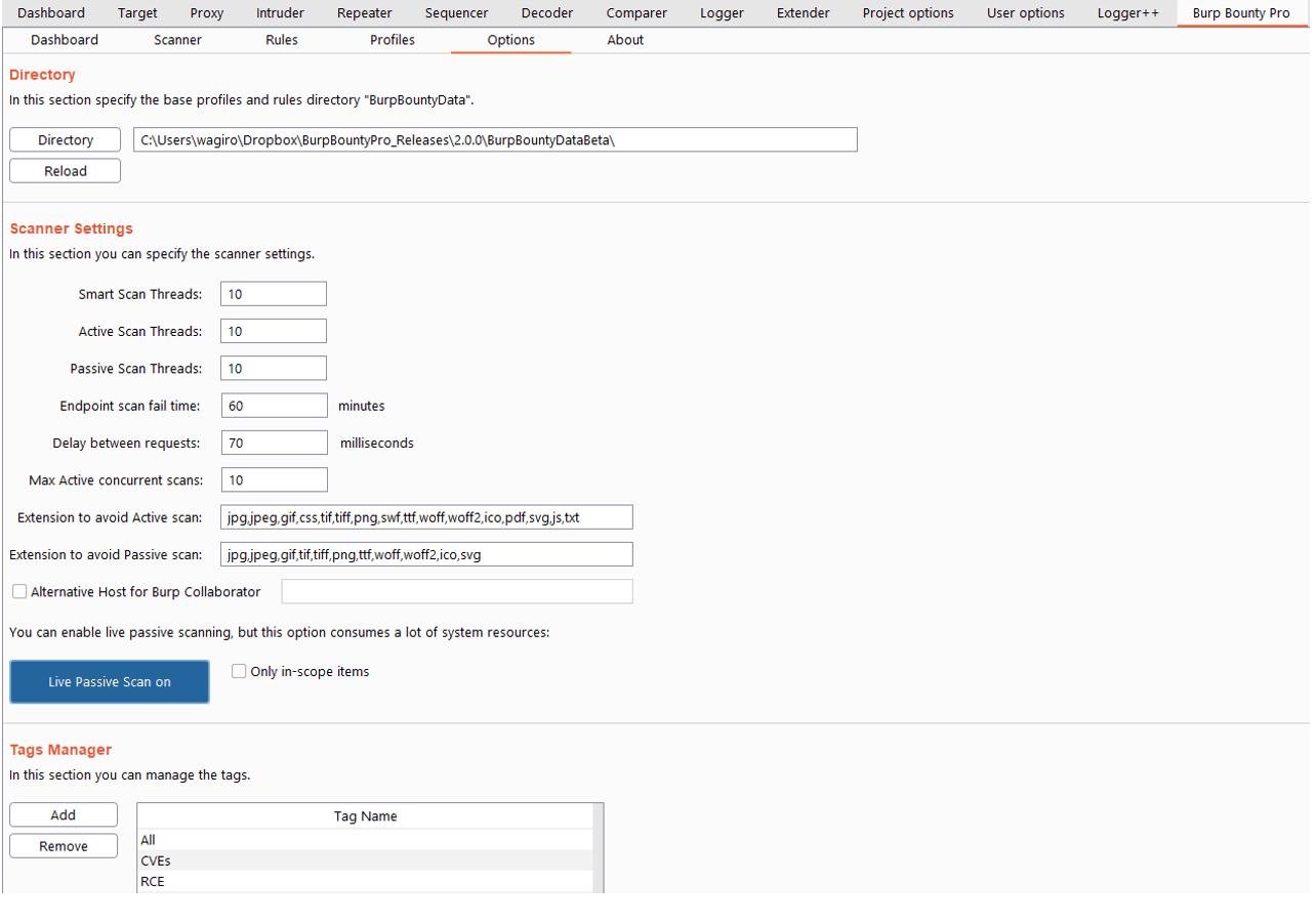 Documentation 2 – Burp Bounty