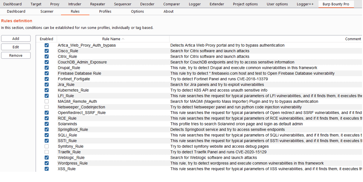 Documentation 2 – Burp Bounty