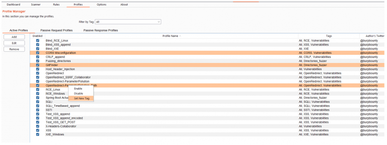 Documentation 2 – Burp Bounty
