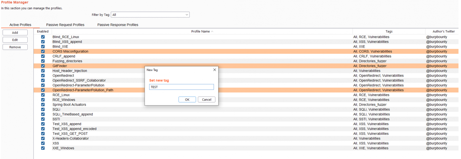 Documentation 2 – Burp Bounty