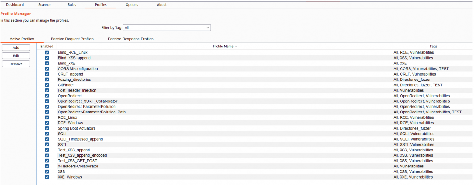 Documentation 2 – Burp Bounty
