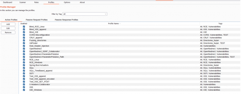 Documentation 2 – Burp Bounty