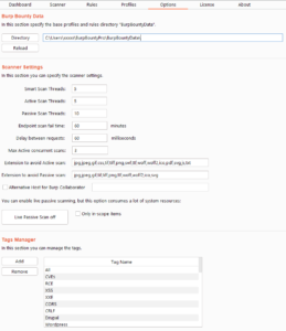 Documentation 2 – Burp Bounty