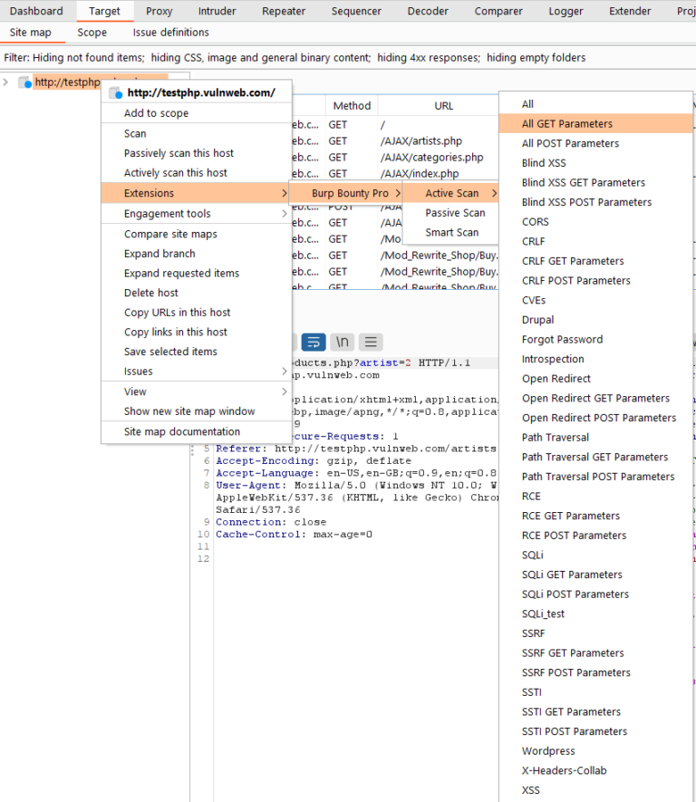 Documentation 2 – Burp Bounty