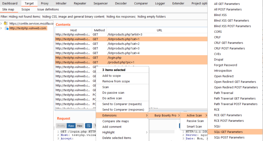 Documentation 2 – Burp Bounty